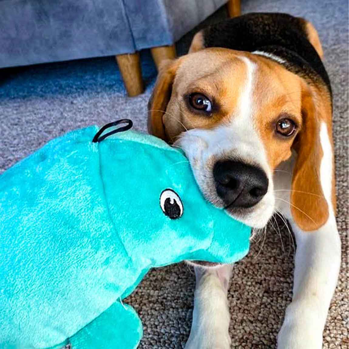 Tender Tuffs Manatee Large Tough Squeaky Dog Toy Snuggle Puppy