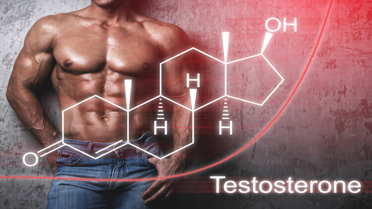 How Does Vitamin D Increase Testosterone In Men Crazybulk Usa