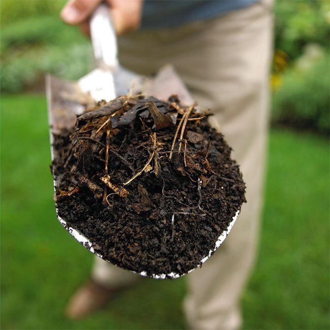 Mastering the Art of Composting at Home: A Comprehensive Guide to Comp ... Mastering the Art of Composting at Home: A Comprehensive Guide to Comp ...