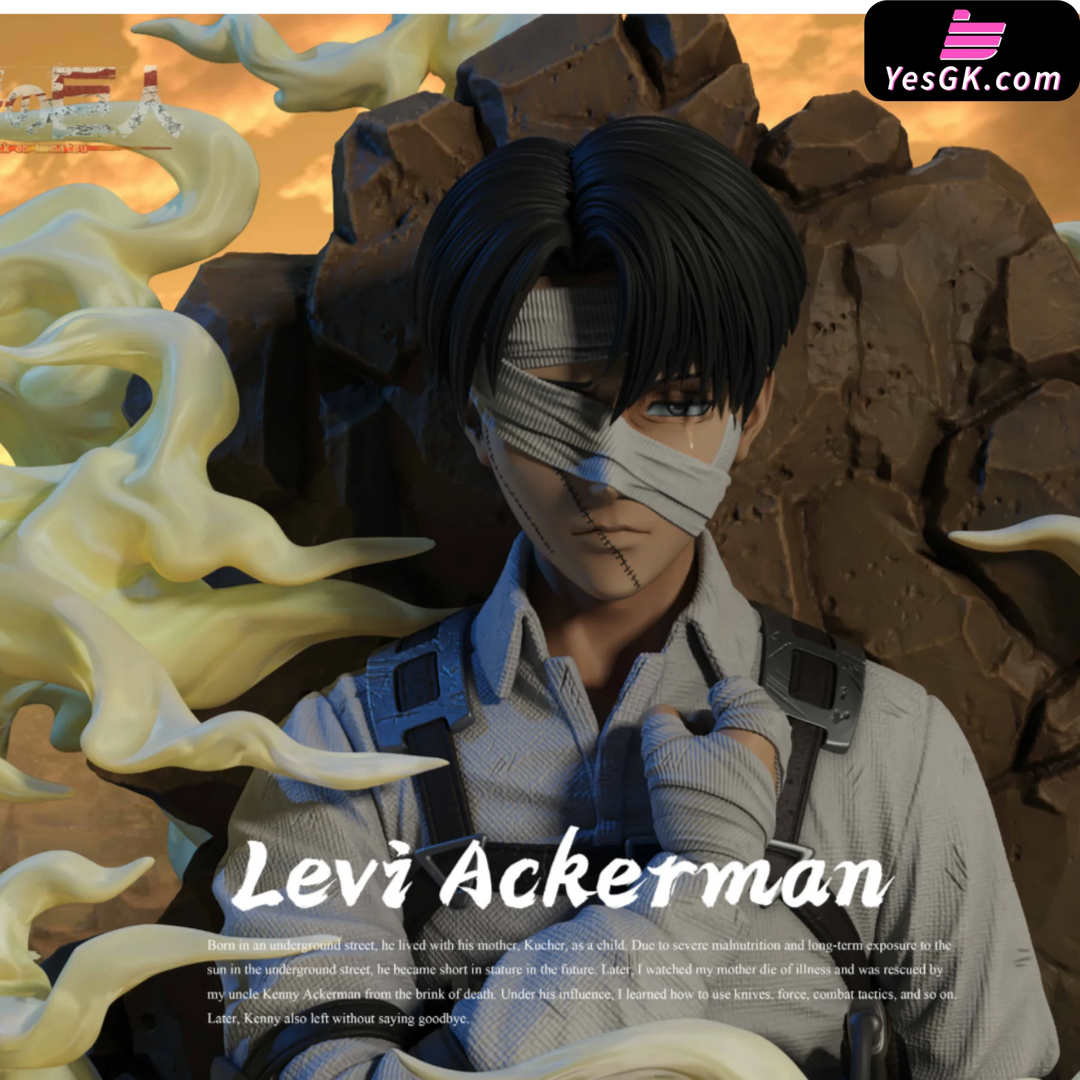 Attack on Titan Curtain Call Levi Ackerman Statue - Freedom Studio [Pr ...